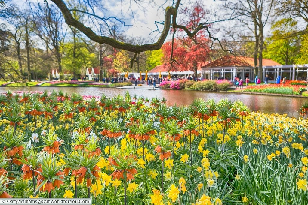 Our itinerary for a Dutch road-trip via Haarlem, Alkmaar & Utrecht ...