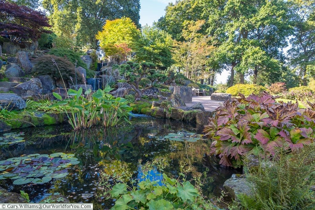 A day out at RHS Garden Wisley, Surrey, England - Our World for You