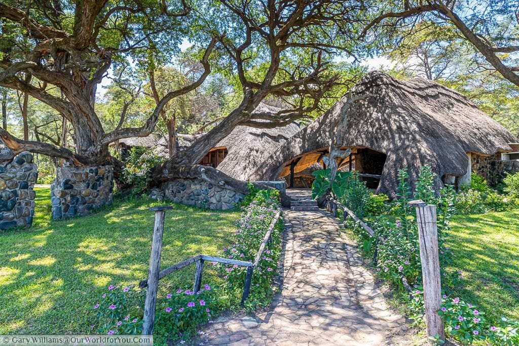 Staying in The Tree Lodge at Sikumi, Hwange, Zimbabwe - Our World for You