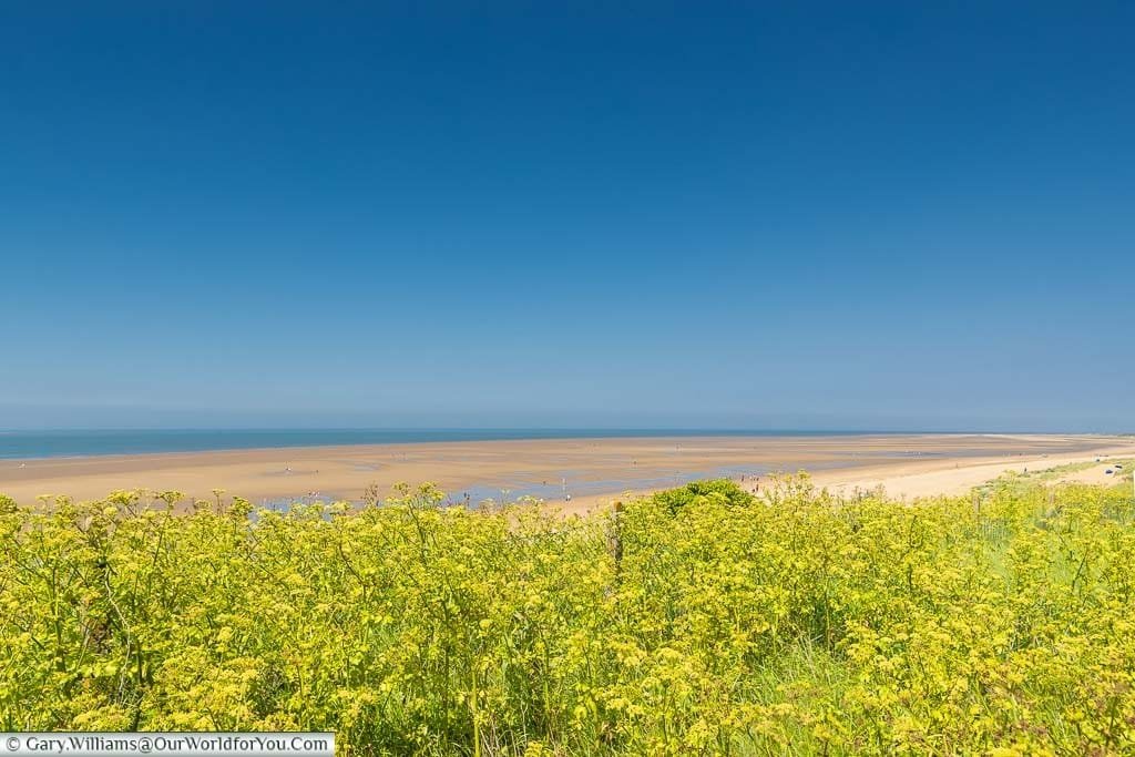 The 12 things we learnt about Norfolk, England - Our World for You