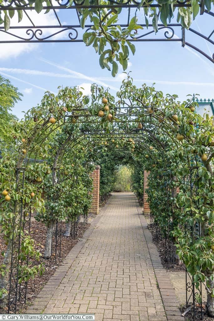 A day out at RHS Garden Wisley, Surrey, England - Our World for You