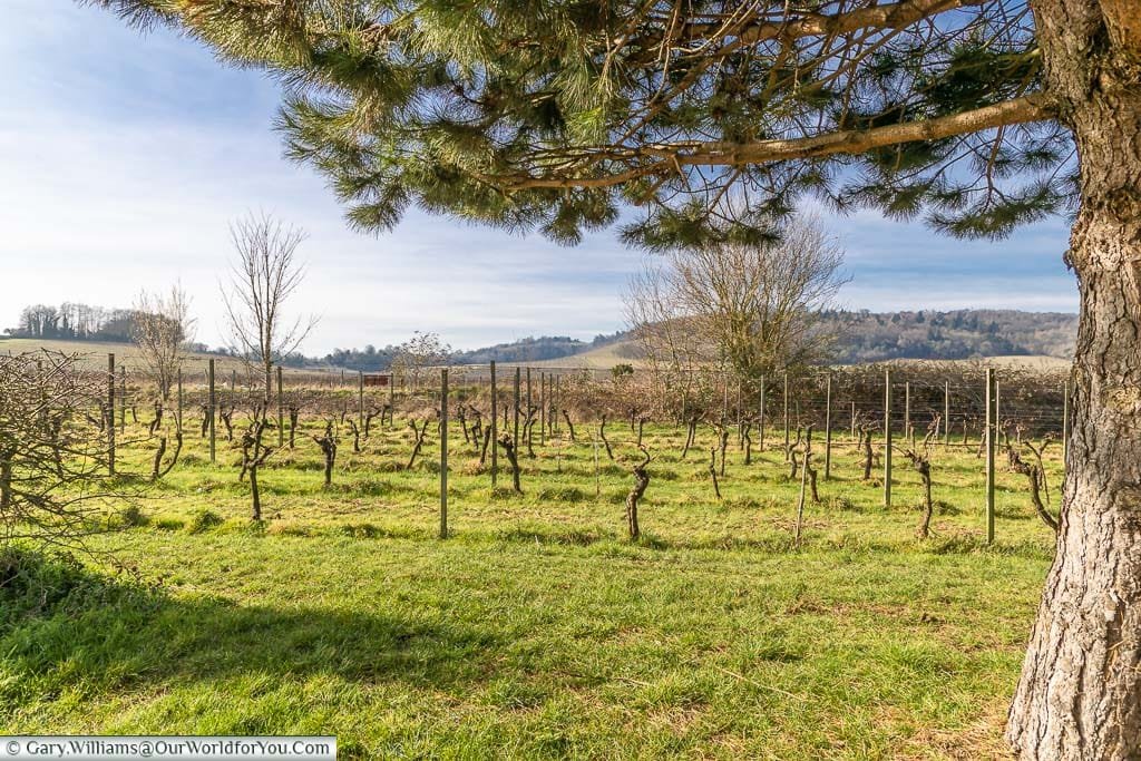 A visit to the Market Town of Dorking in Surrey, England - Our World ...