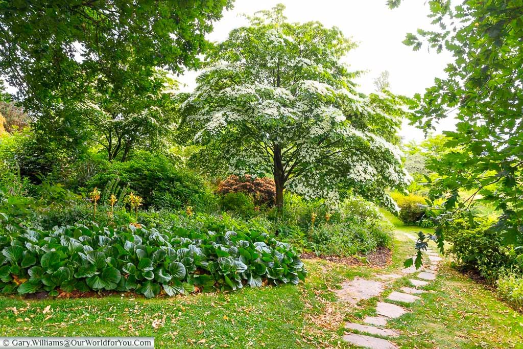 Visiting Emmetts Garden in Kent - Our World for You